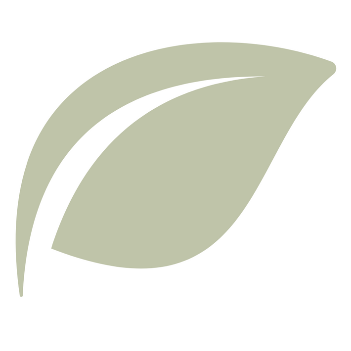 Rooted Regimen | Healthy Home Care Products Reimagined